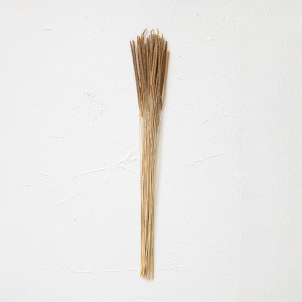 Dried Goldenrod Bunch | Northlight Interiors - Northlight Interiors, Inc.